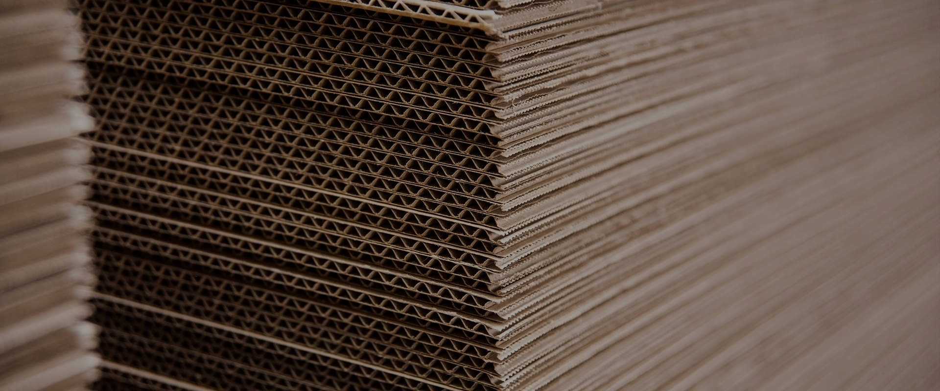 Season Lead Edge Paper Industries Co. WLL | Almoayyed International Group